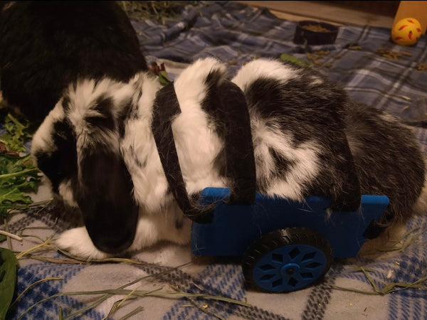 The Original Rabbit wheelchair V1 – Crispys3DPrinting